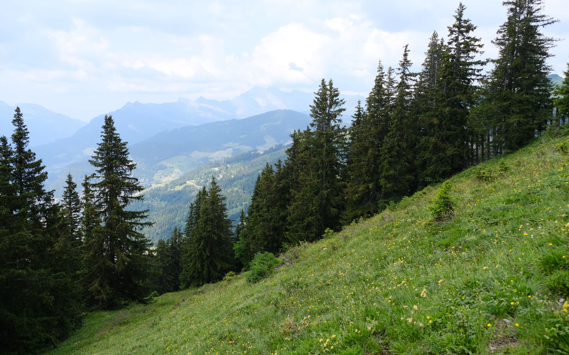 Download wallpaper 1920x1200 trees, slope, mountains, nature widescreen ...
