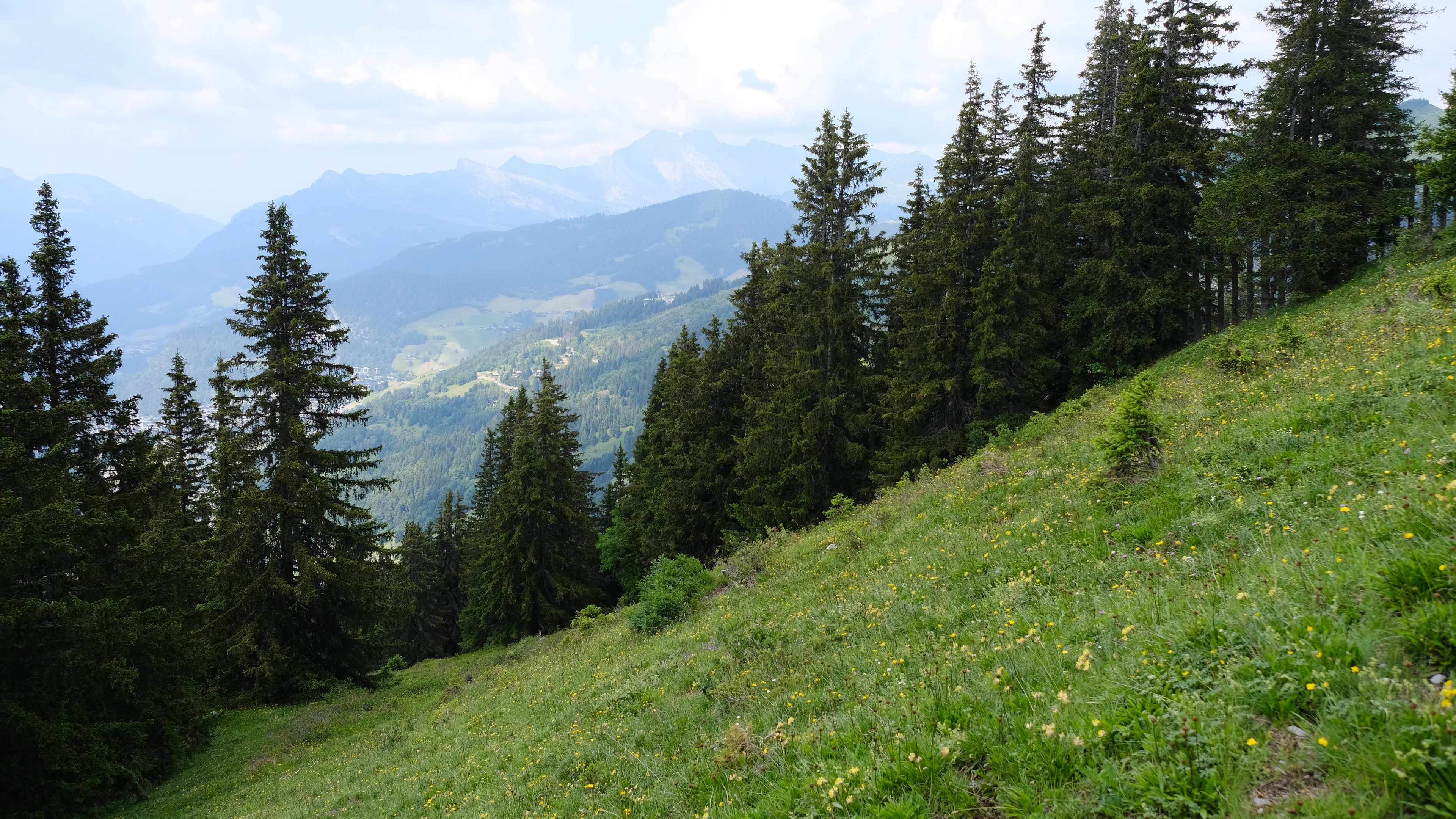 Download wallpaper 3840x2160 trees, slope, mountains, nature 4k uhd 16: ...