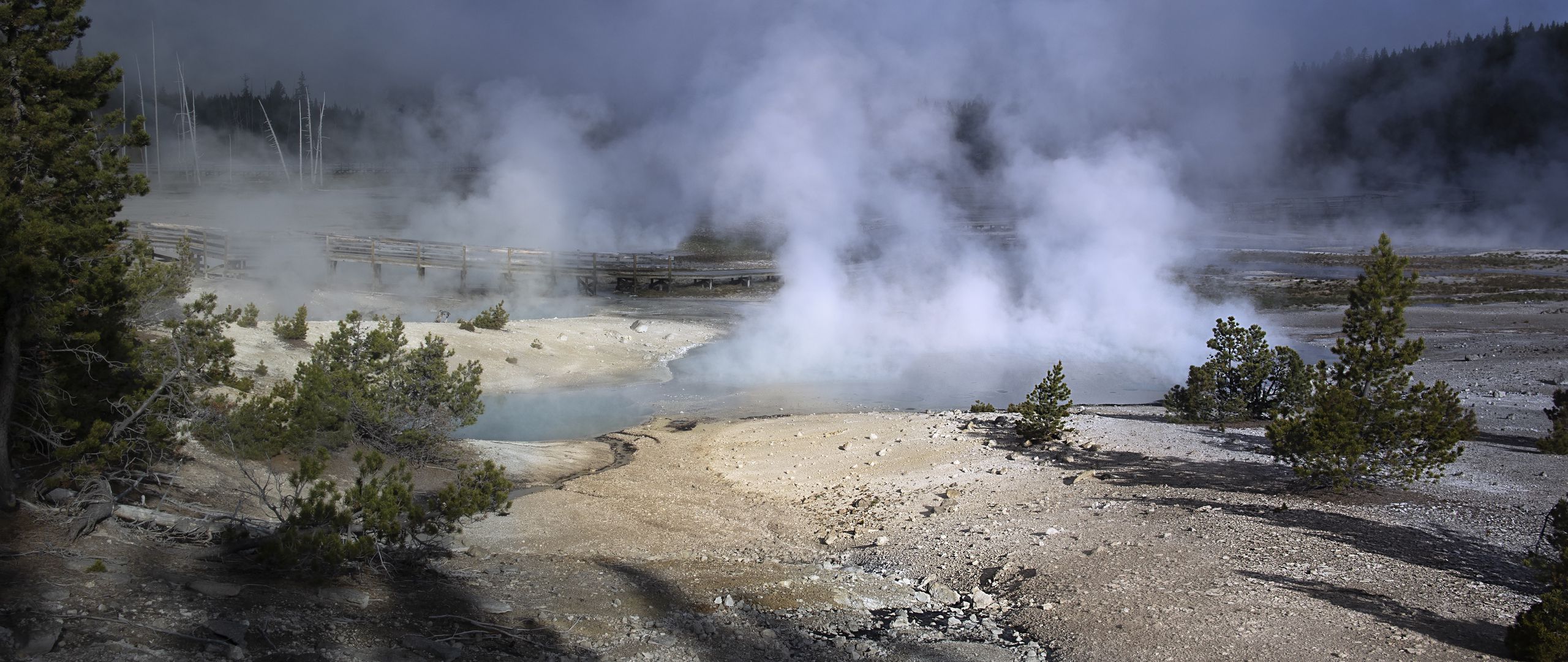 Download wallpaper 2560x1080 trees, smoke, steam, lake, sources, nature ...