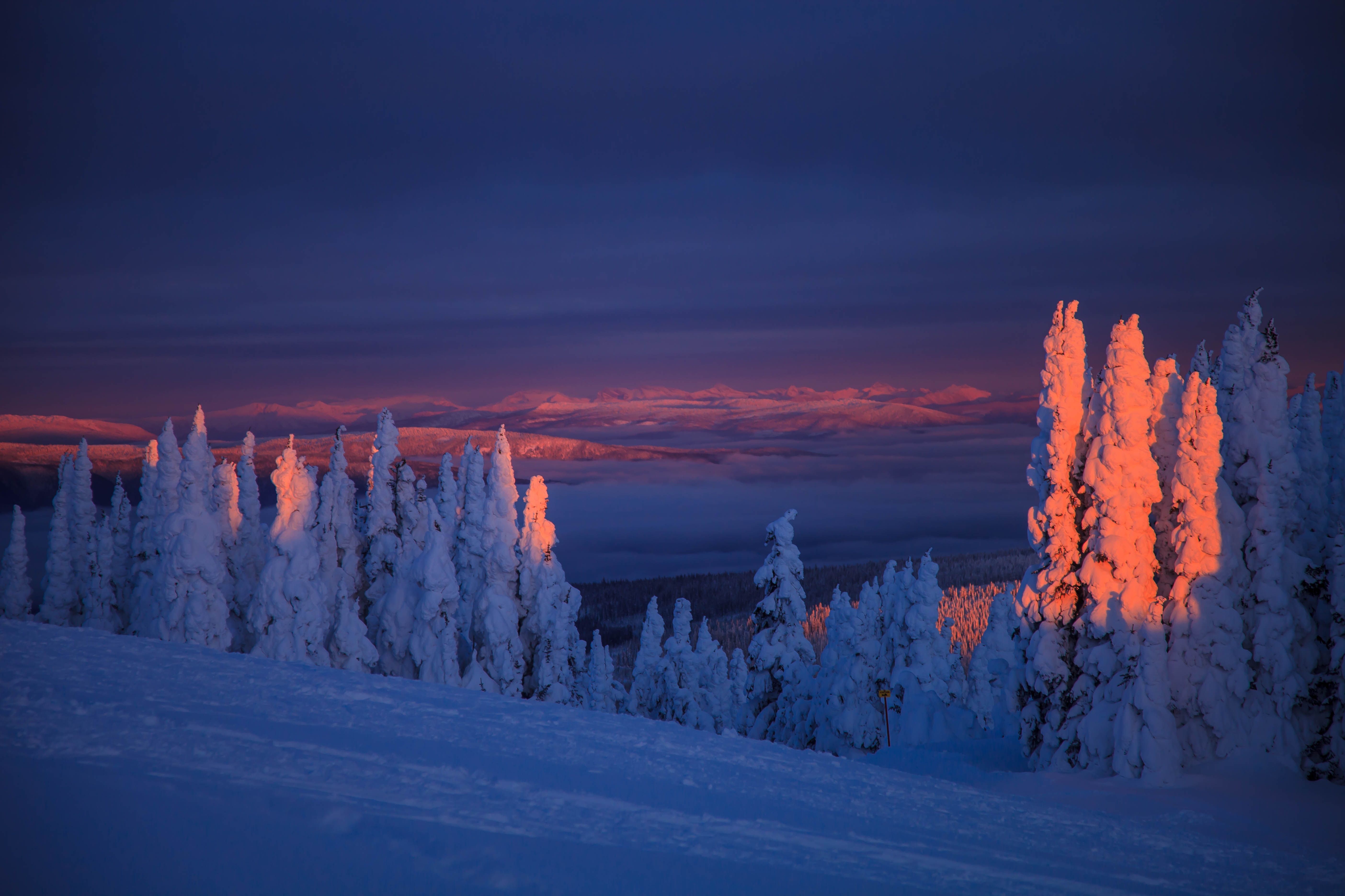Download wallpaper 5616x3744 trees, snow, landscape, twilight, winter ...