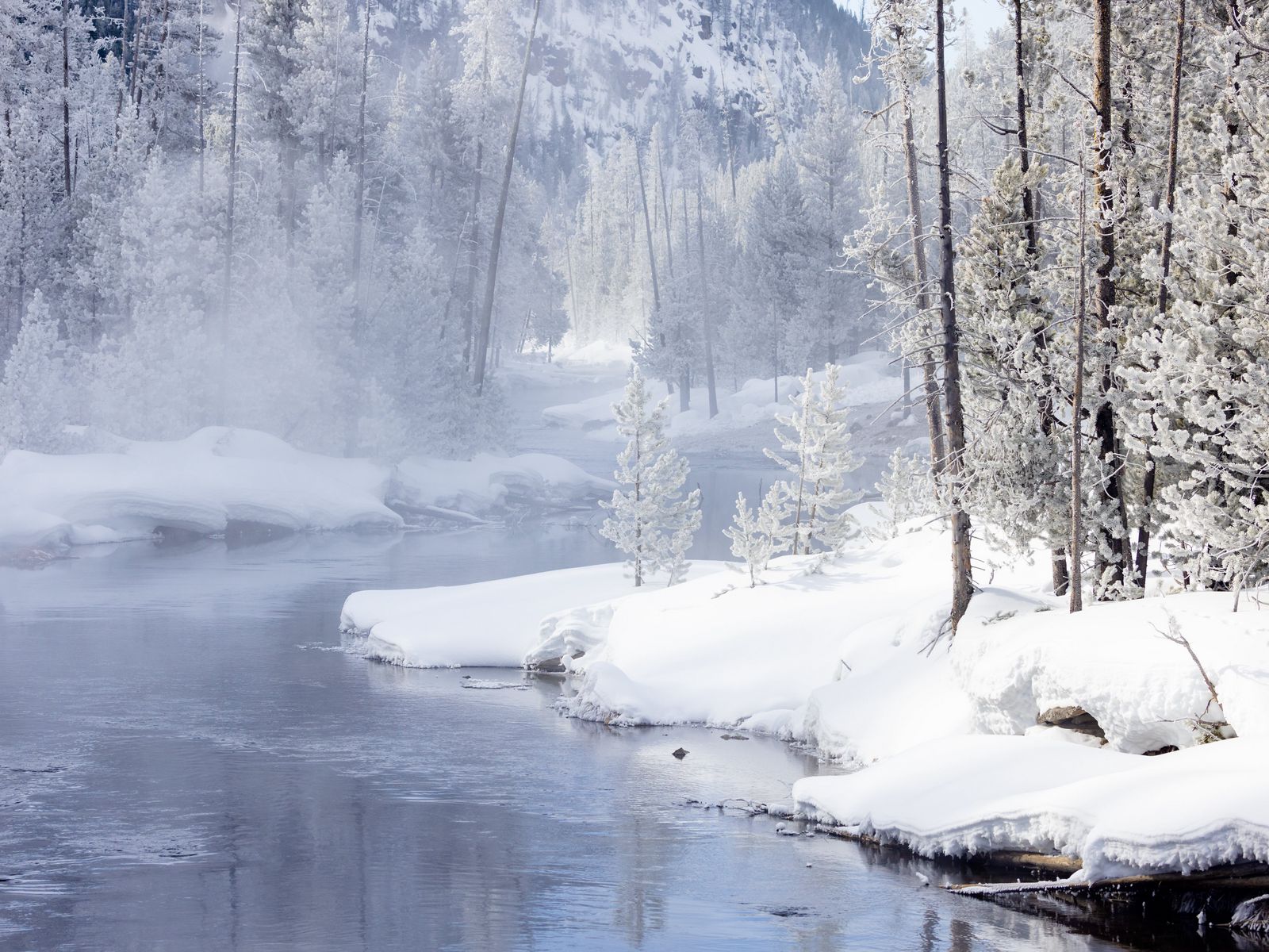Download wallpaper 1600x1200 trees, snow, shore, river, winter standard ...