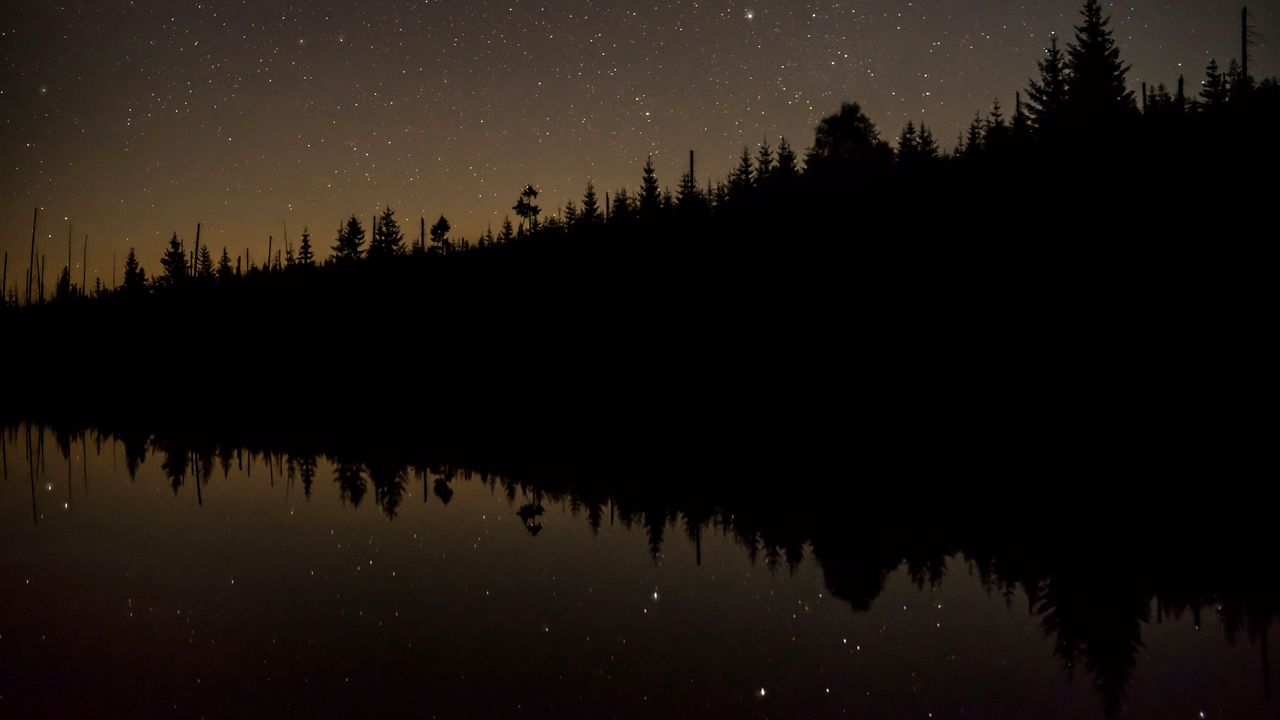 Wallpaper trees, starry sky, water, reflection, night hd, picture, image