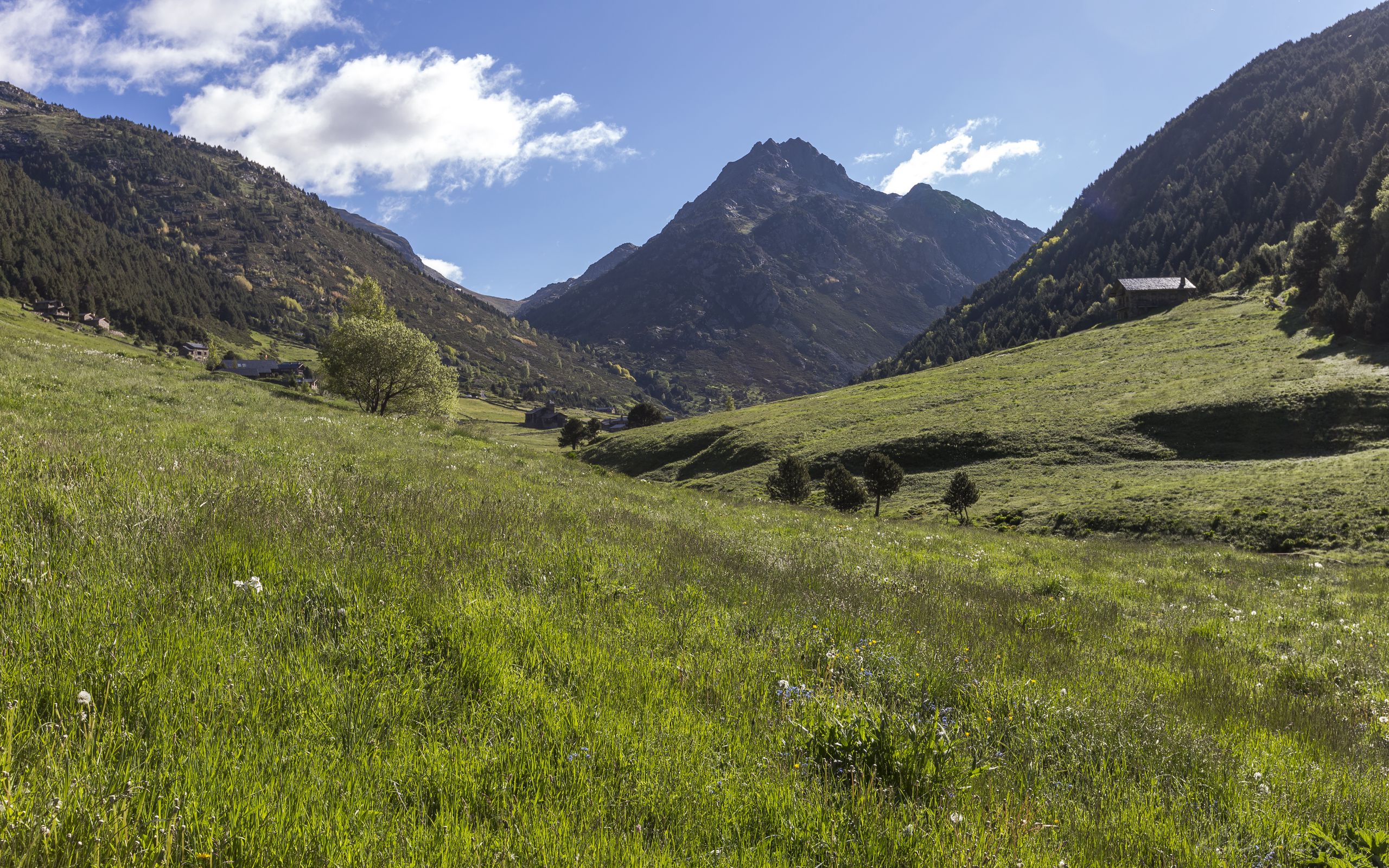 Download wallpaper 2560x1600 valley, grass, mountains, landscape ...