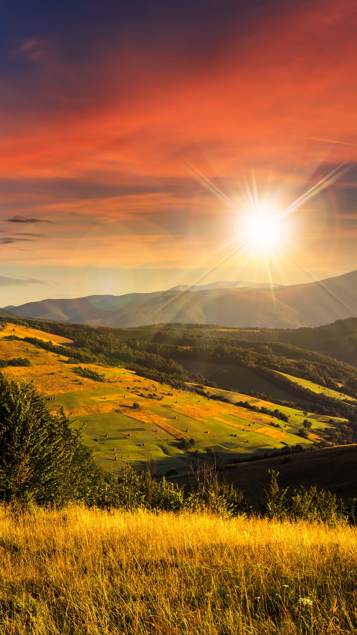 Download wallpaper 1440x2560 valley, mountains, sunshine, summer qhd ...