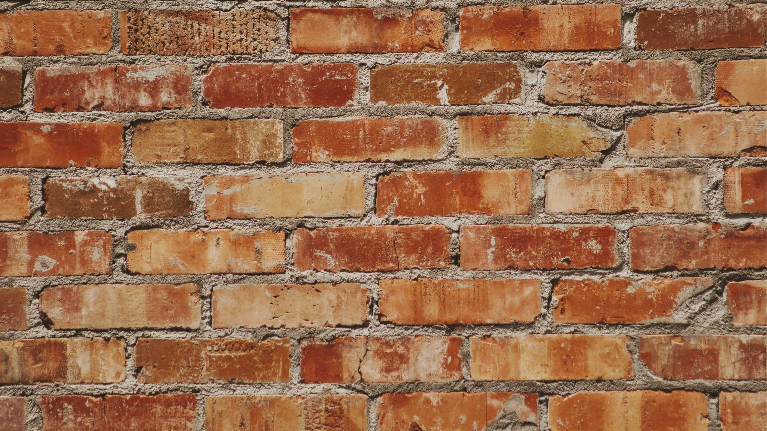 Download wallpaper 2560x1440 wall, bricks, texture, surface, brick ...