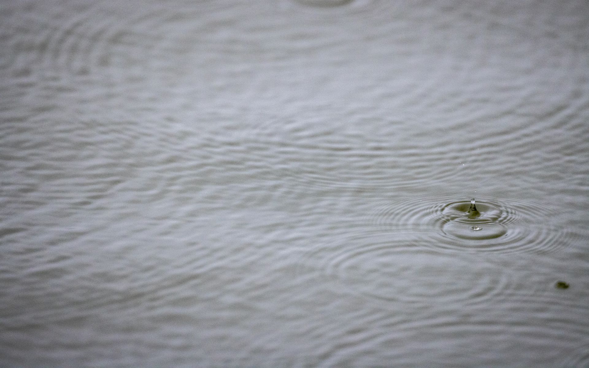 Download wallpaper 1920x1200 water, drop, ripples, macro widescreen 16: ...