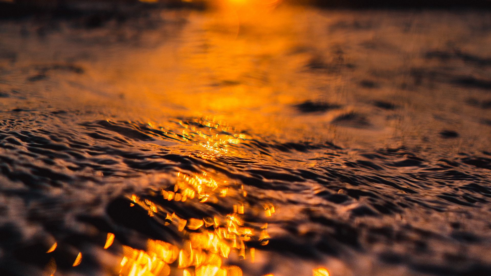 Download wallpaper 1920x1080 water, glare, sunset, light, macro full hd ...