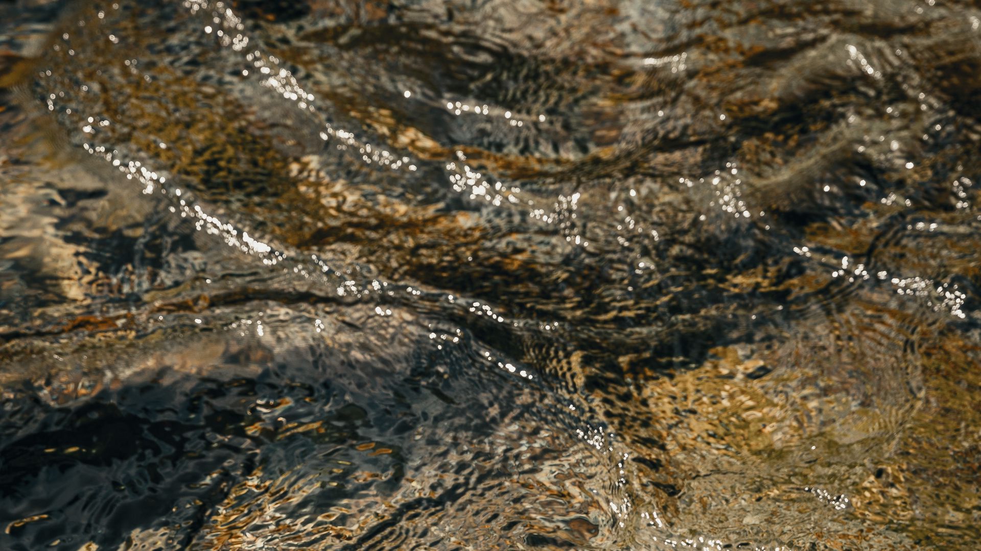 Download wallpaper 1920x1080 water, ripples, stones, distortion full hd ...