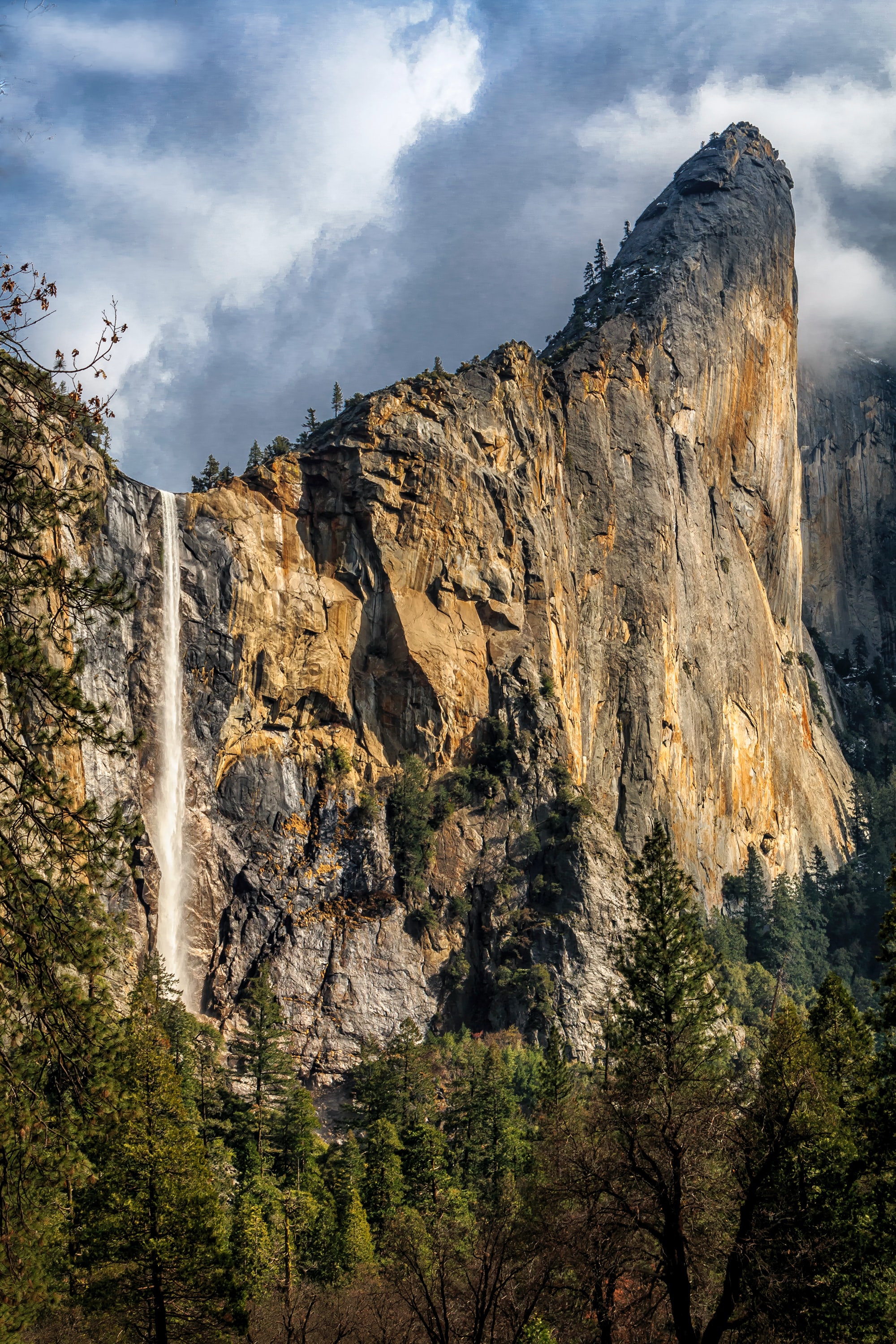 Download wallpaper 2000x3000 waterfall, cliff, rocks, trees, branches ...