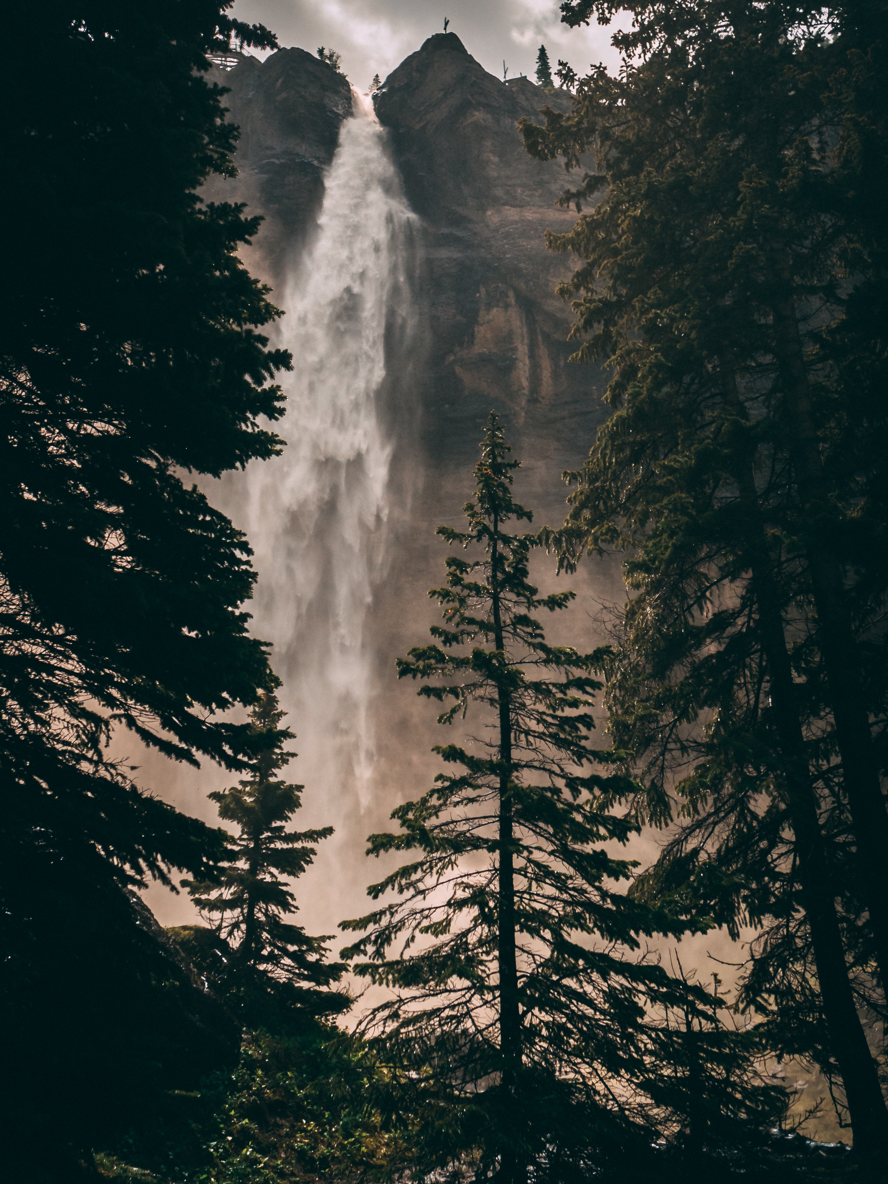 Download wallpaper 2823x3764 waterfall, cliff, trees, water, rock hd ...