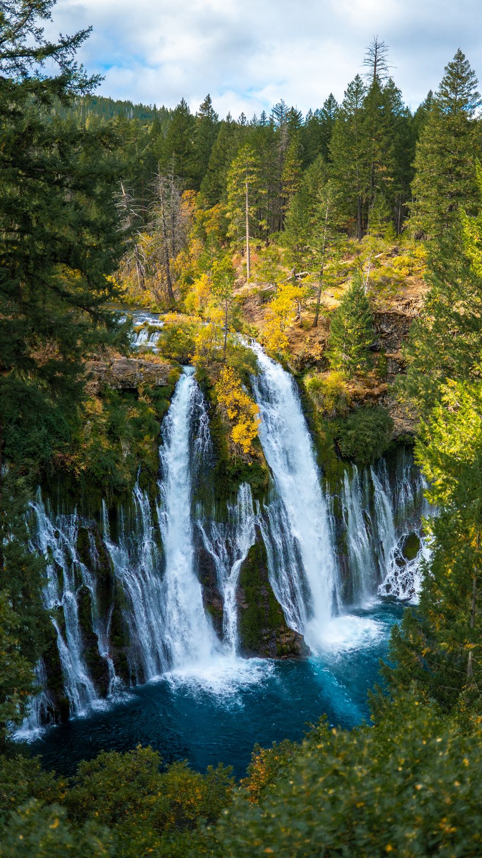 Download wallpaper 938x1668 waterfall, cliff, trees, branches iphone 8 ...