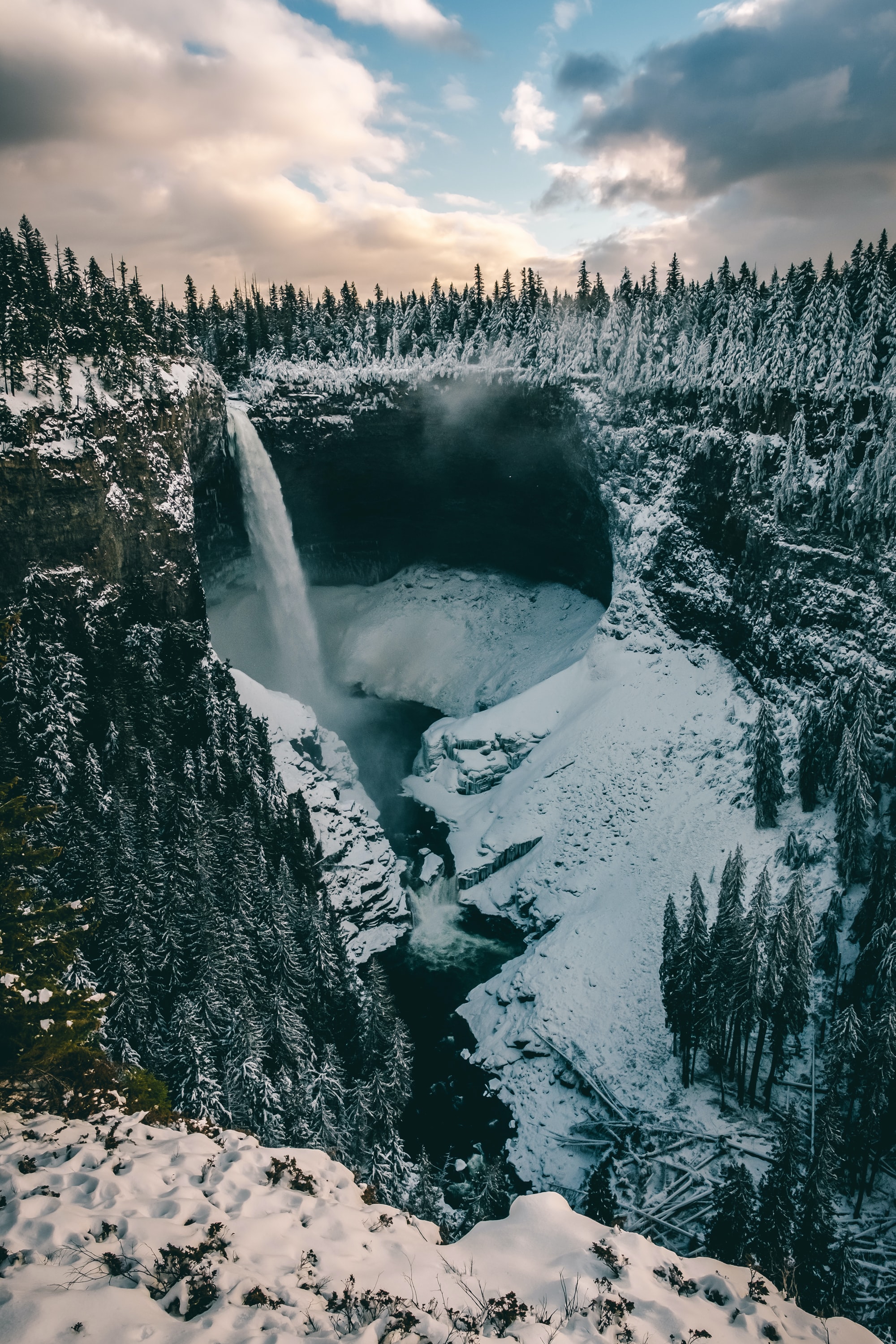 Download wallpaper 2000x3000 waterfall, cliff, trees, snow, snowy hd ...