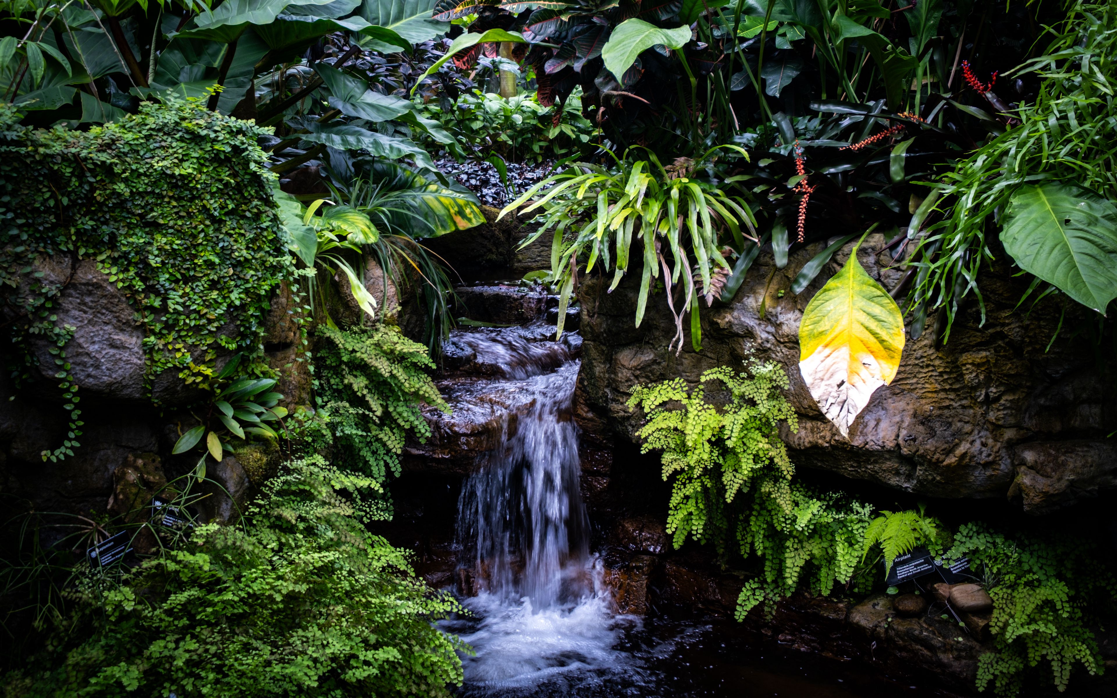 Download wallpaper 3840x2400 waterfall, leaves, trees, bushes, greenery ...