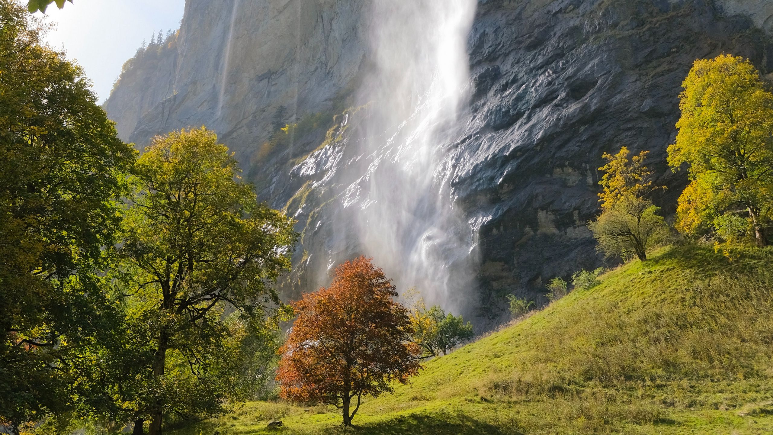 Download wallpaper 2560x1440 waterfall, rock, trees, landscape ...