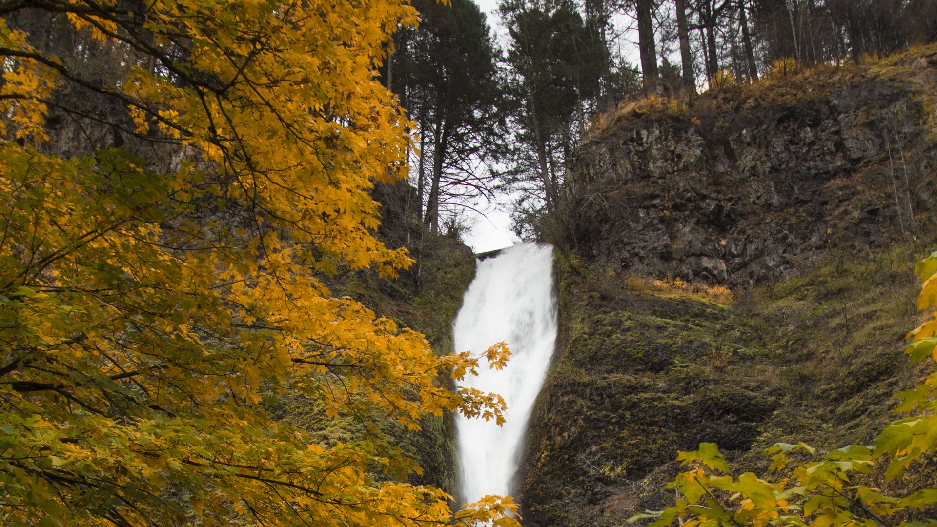 Download wallpaper 1920x1080 waterfall, slope, autumn full hd, hdtv ...