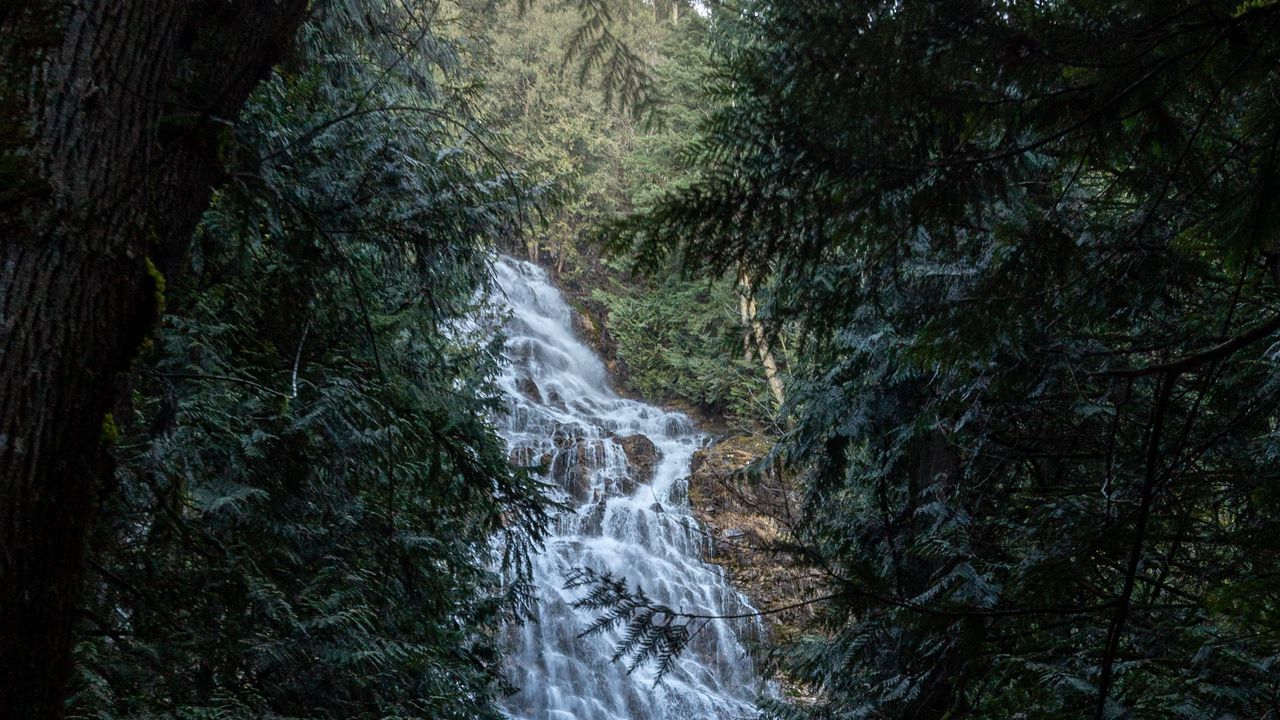 Wallpaper waterfall, trees, branches hd, picture, image
