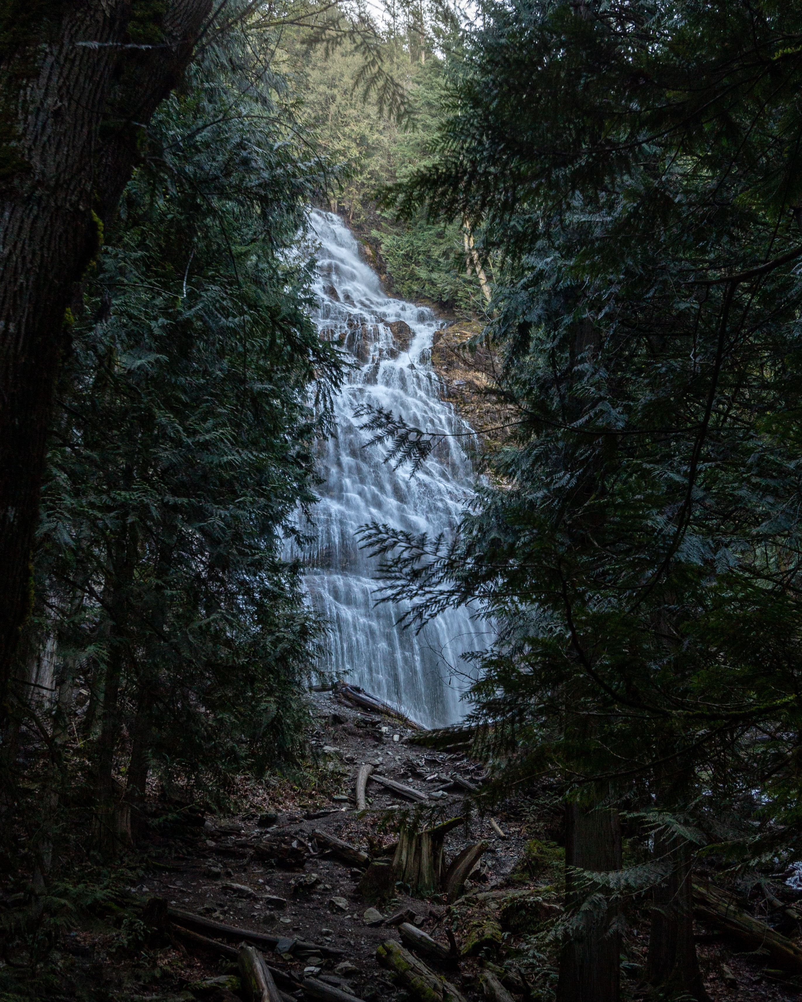 Download wallpaper 2744x3430 waterfall, trees, branches hd background