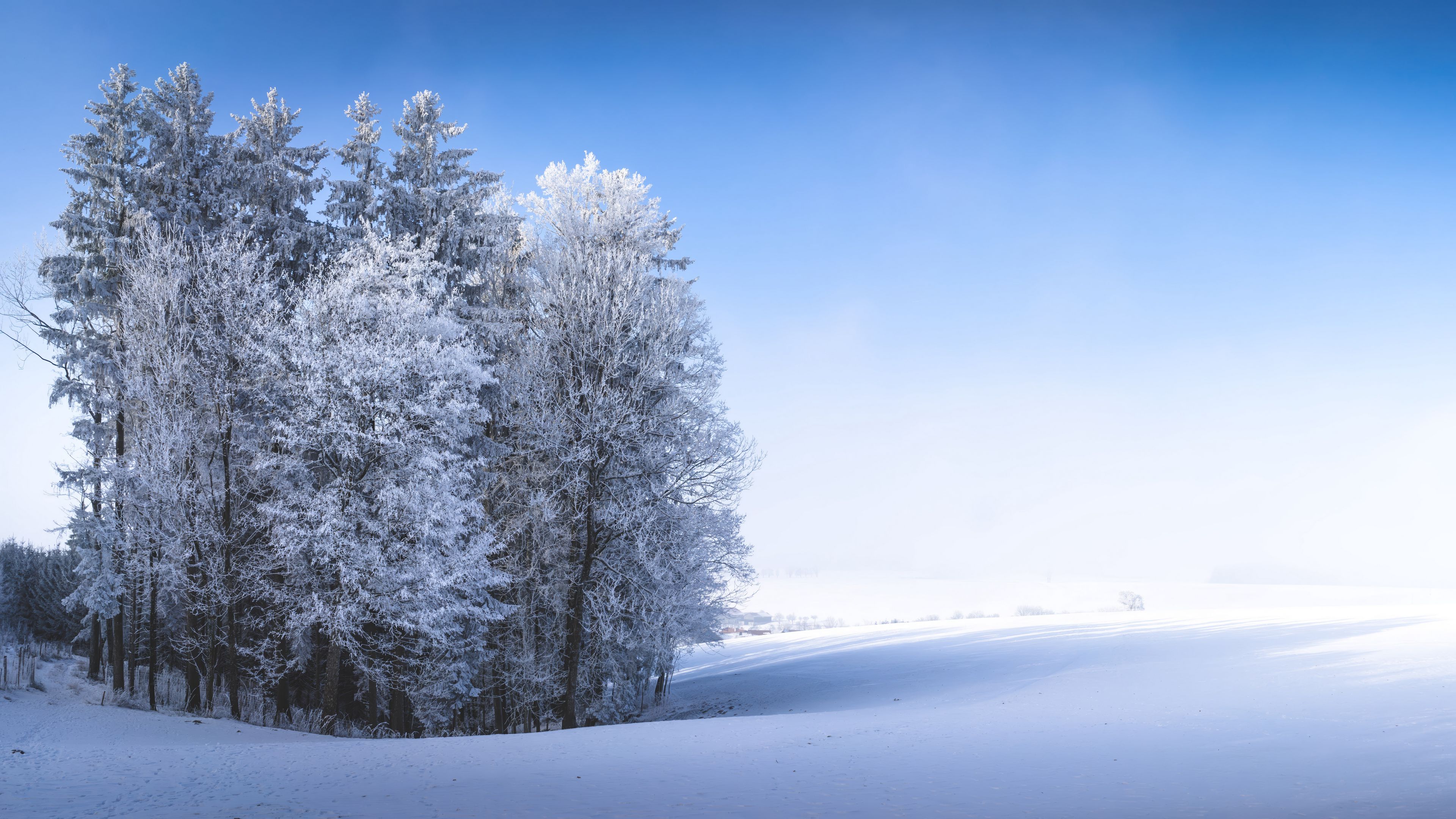 Download wallpaper 3840x2160 winter, forest, field, snow, nature 4k uhd ...