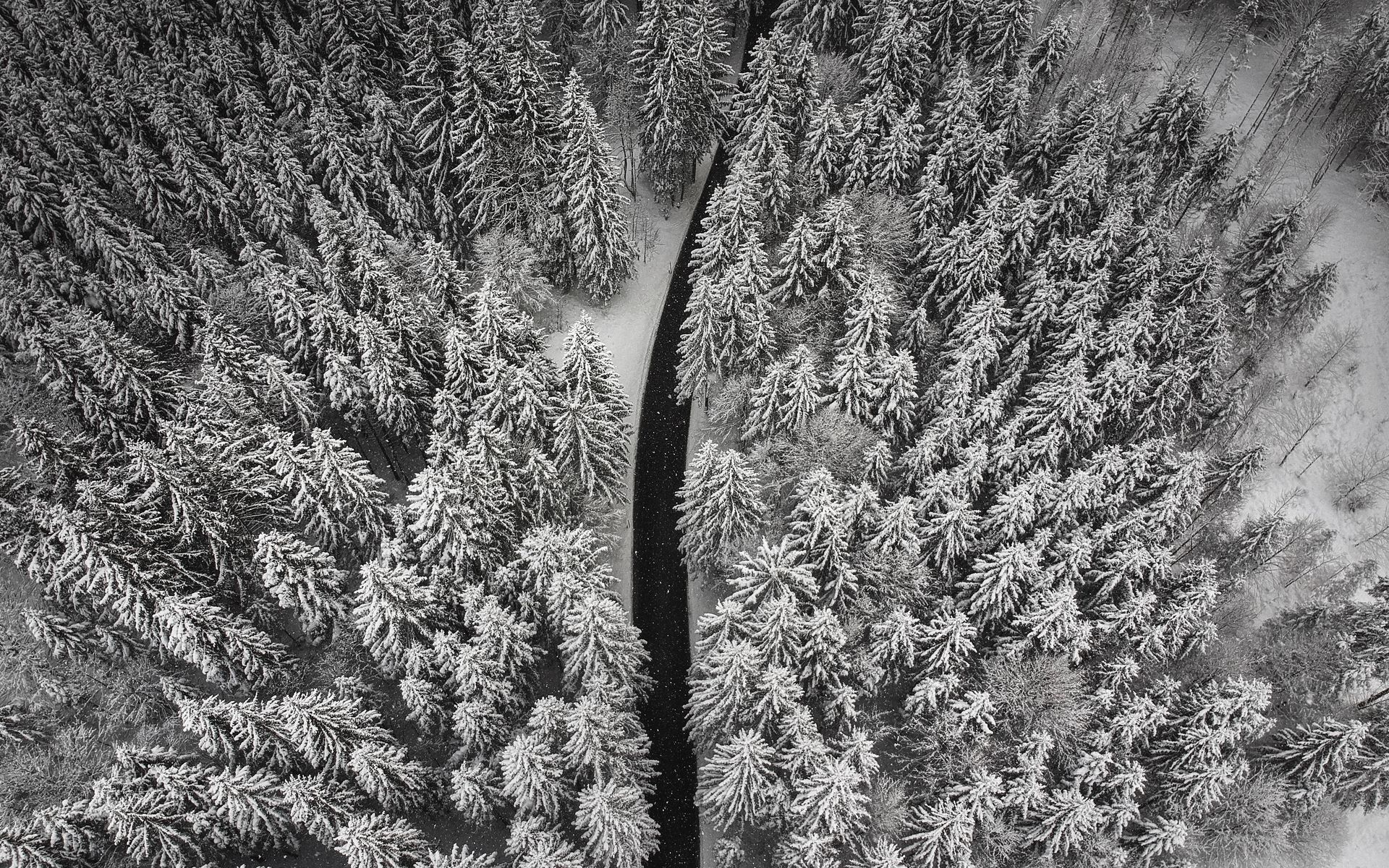 Download wallpaper 1920x1200 winter, trees, aerial view, snow, road ...