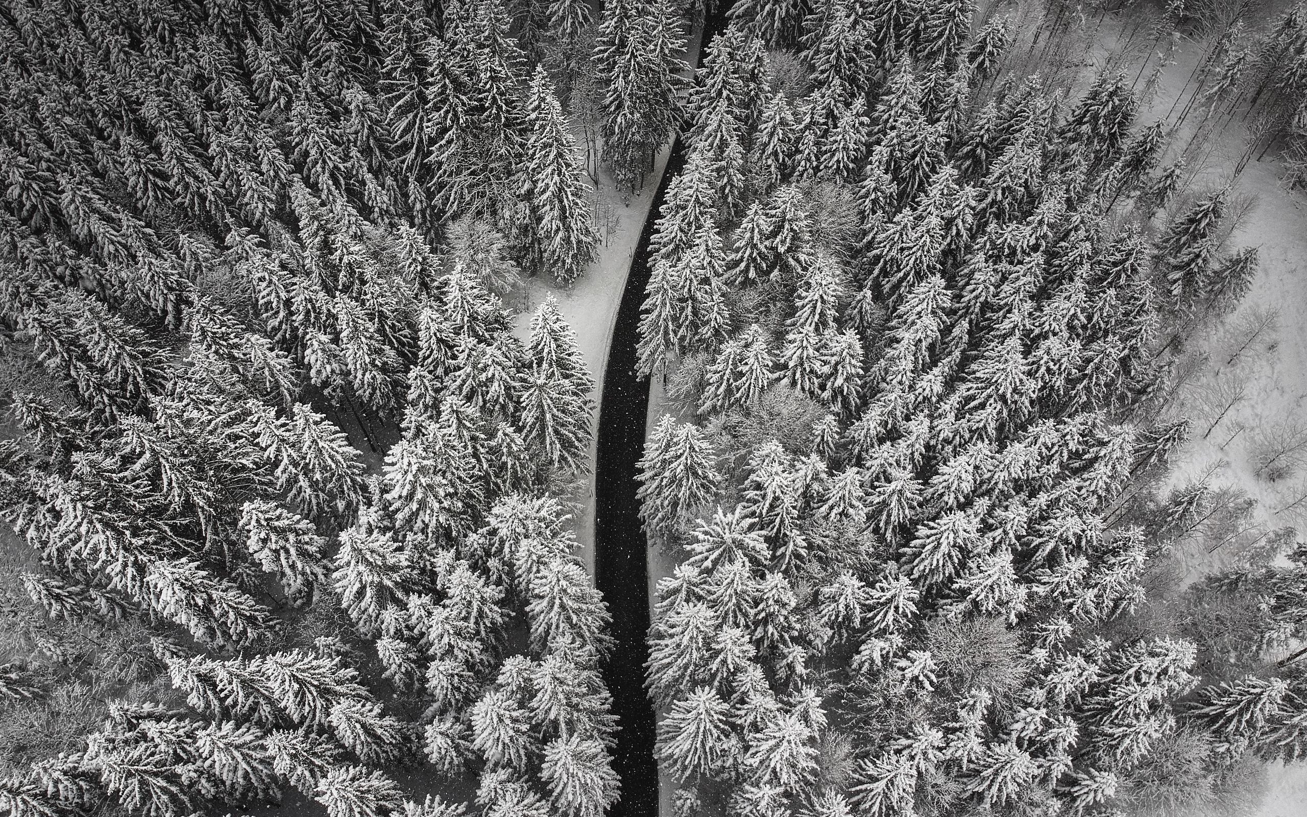 Download wallpaper 2560x1600 winter, trees, aerial view, snow, road ...