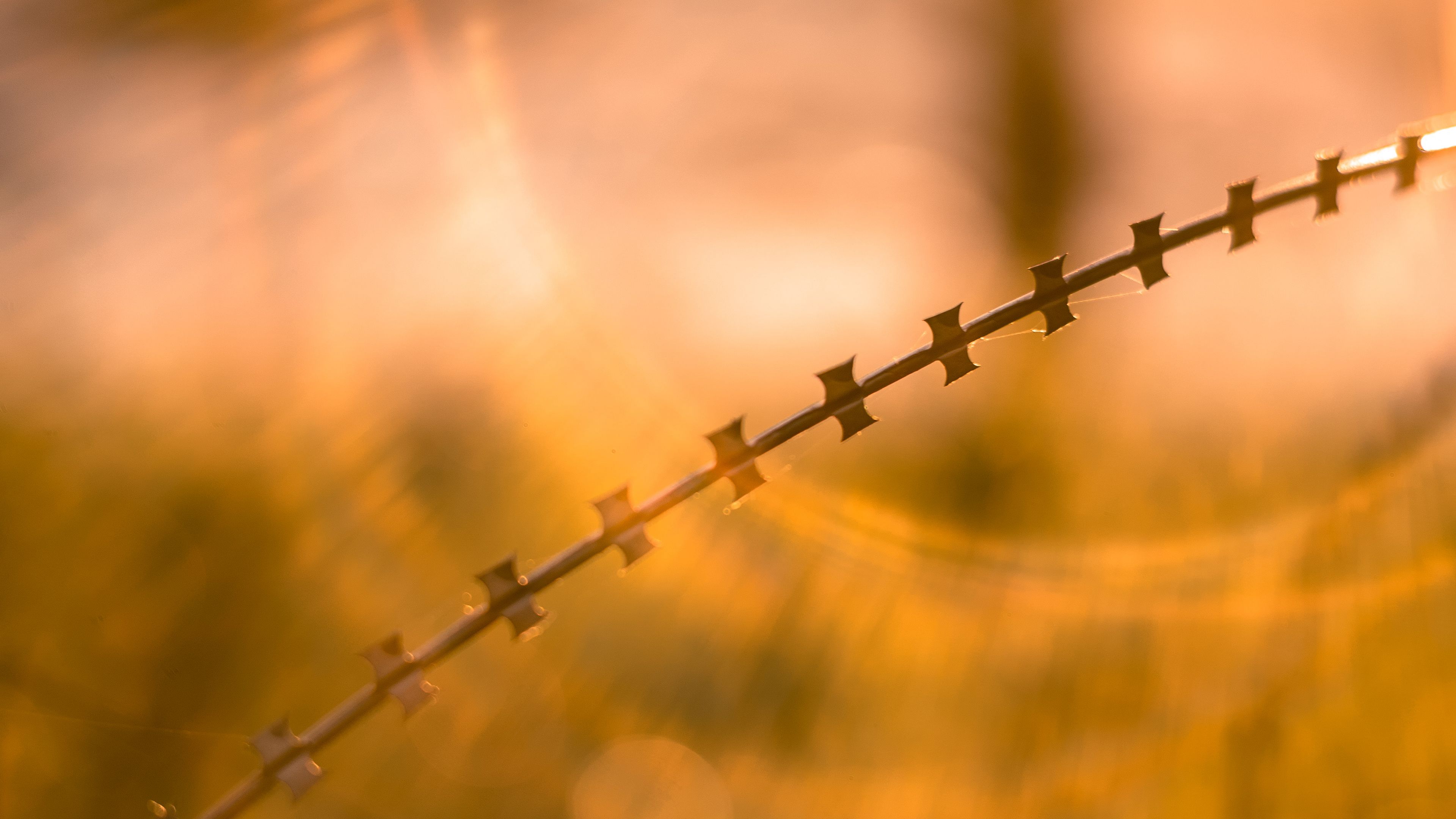 Download wallpaper 3840x2160 wire, bokeh, rays 4k uhd 16:9 hd background