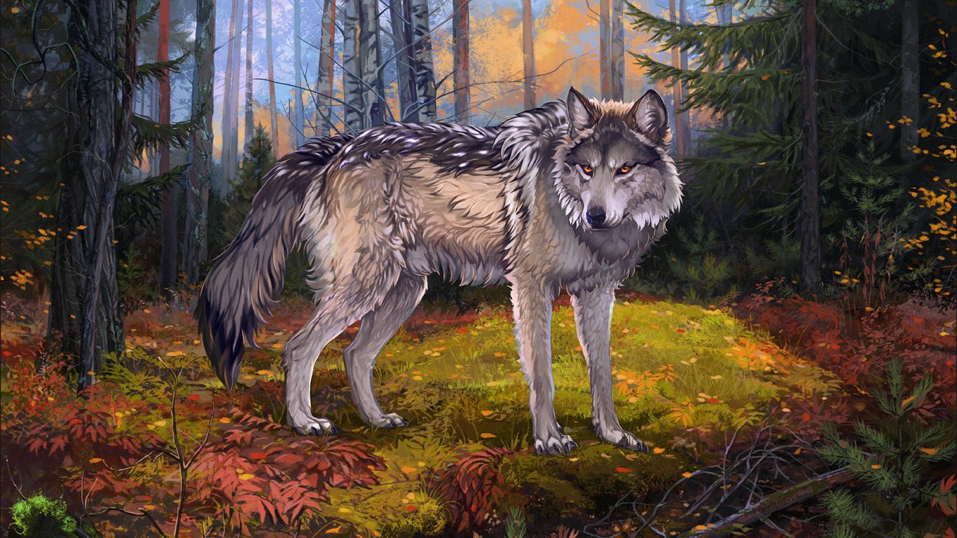 Download wallpaper 1366x768 wolf, gray, forest, wildlife, art tablet ...