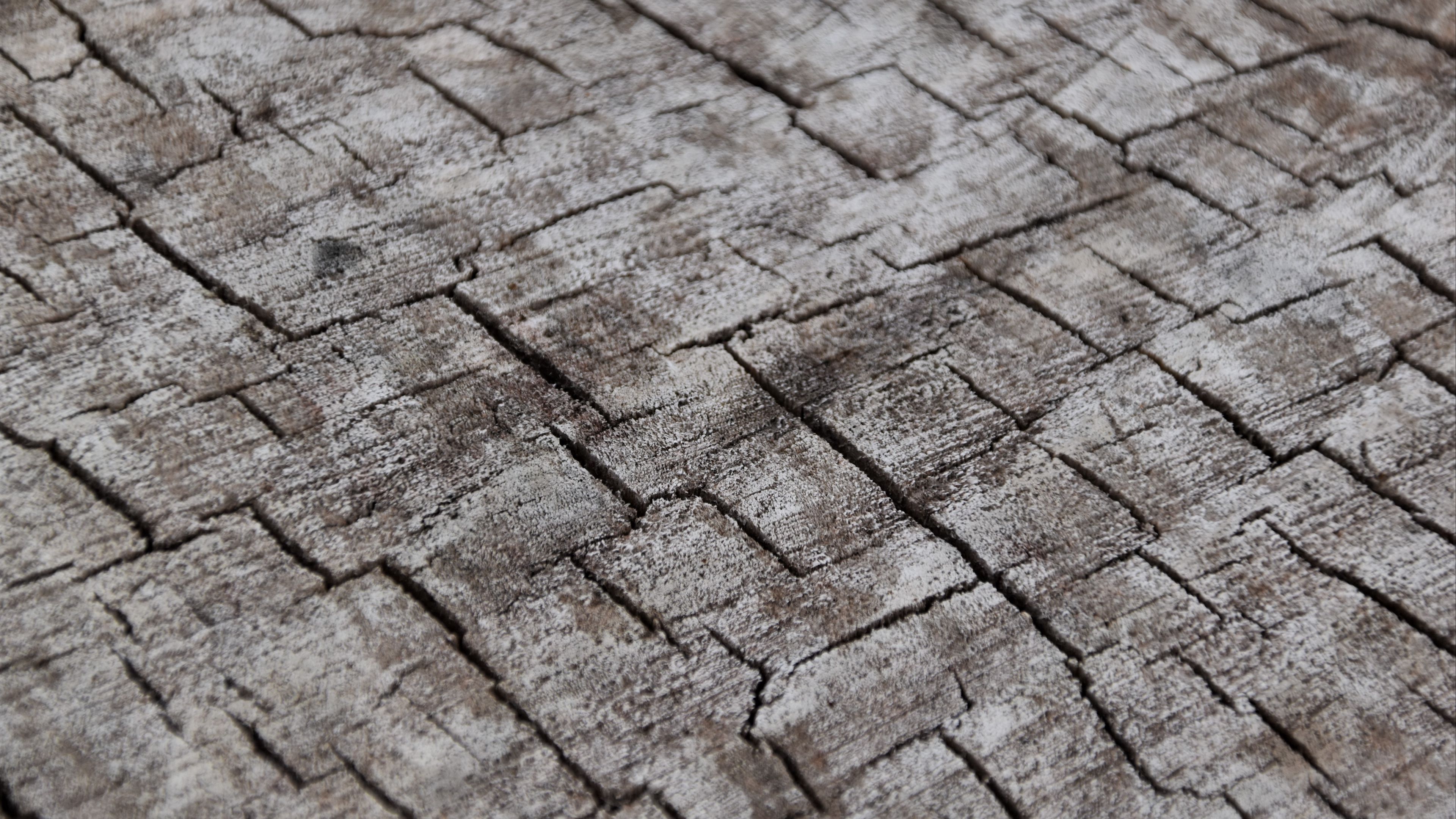Download wallpaper 3840x2160 wood, cranny, wooden, log 4k uhd 16:9 hd ...