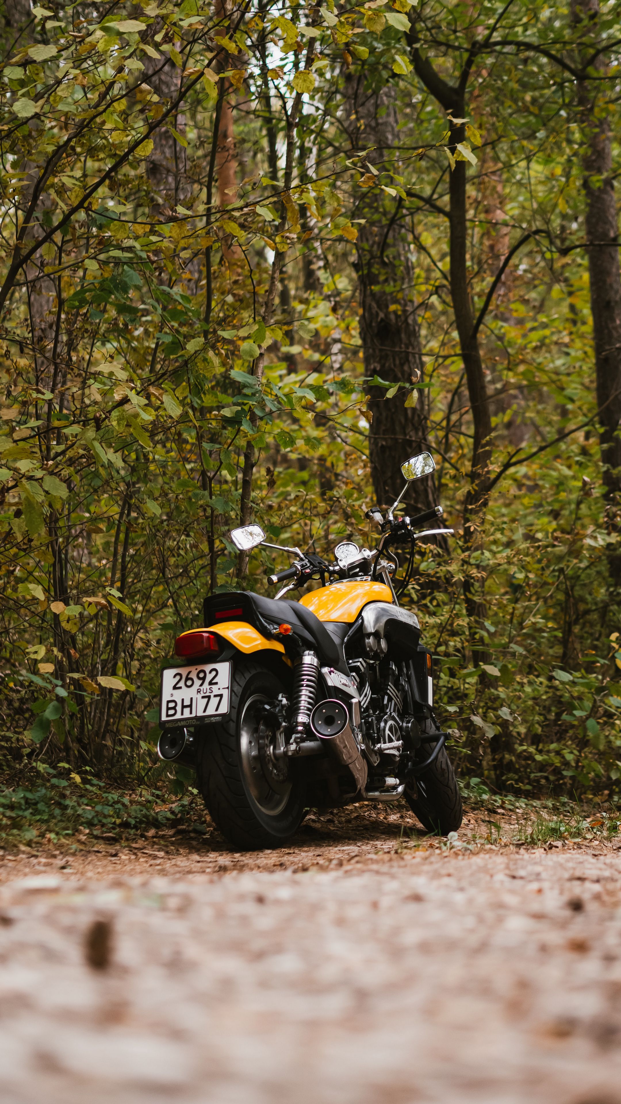 Download wallpaper 2160x3840 yamaha, bike, motorcycle, rear view, motor ...