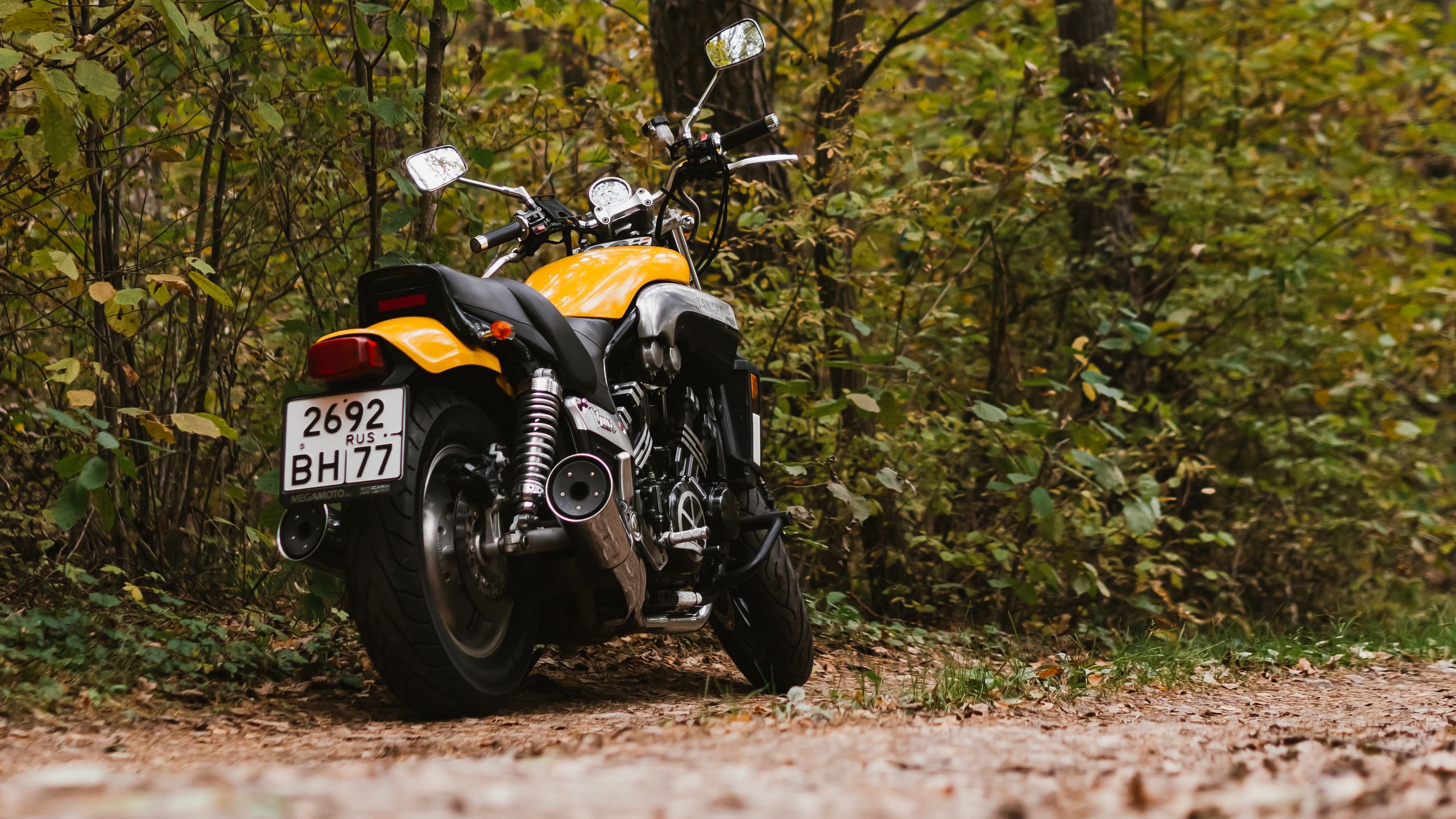Download wallpaper 2560x1440 yamaha, bike, motorcycle, rear view, motor ...